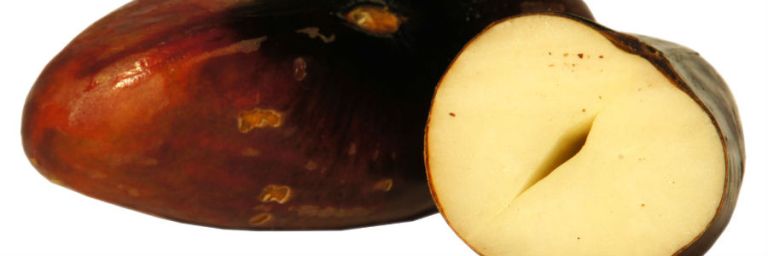 Chachafruto (Erythrina edulis) | Esnobismo gourmet