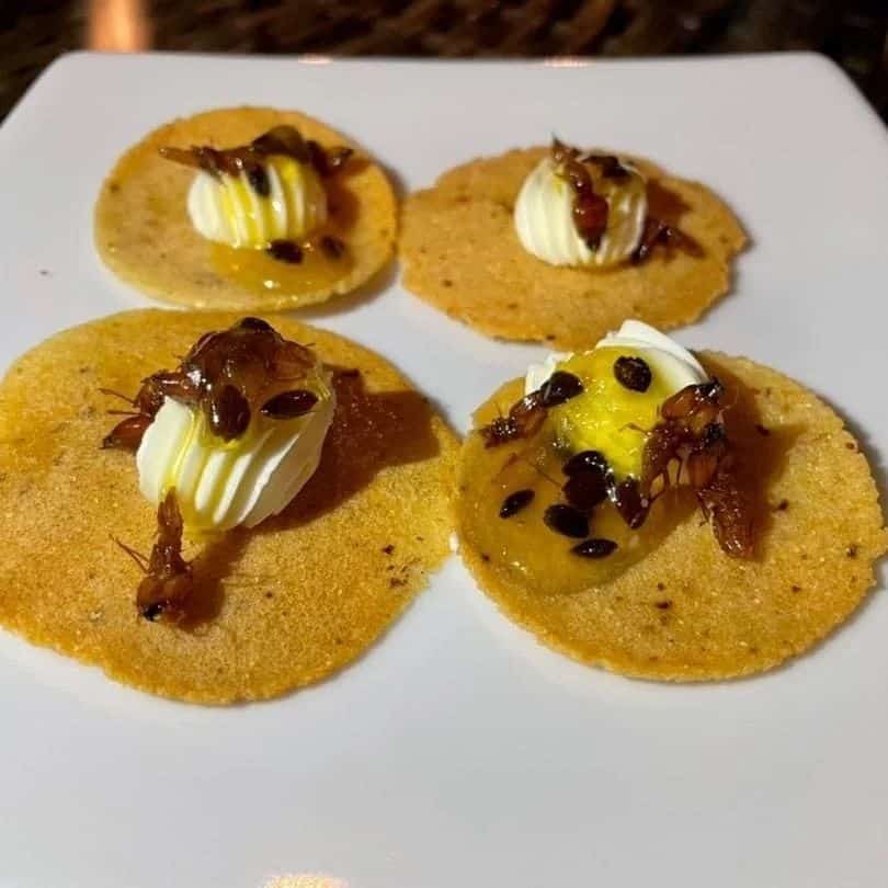 3 razones para no perderse la velada de sabores de la cultura pemón en ...